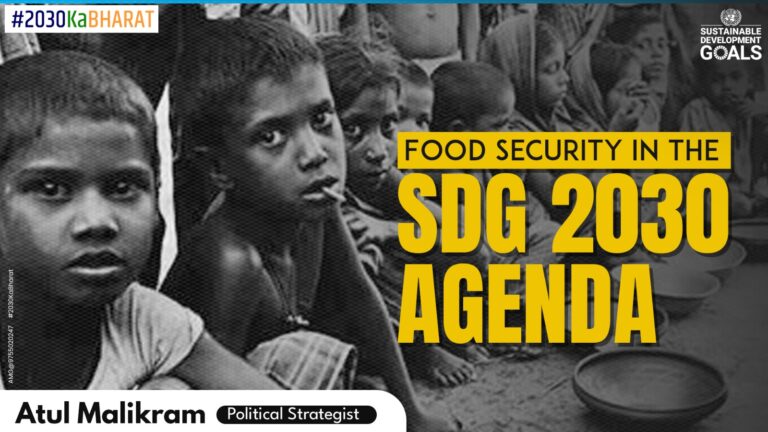 Zero Hunger: Food Security in the SDG Goals